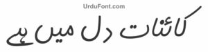 Download Nafees Nastaleeq (Updated) – Free Fonts – Urdu Fonts